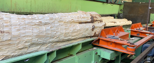 LOG TROUGH CONVEYOR - Jamec video